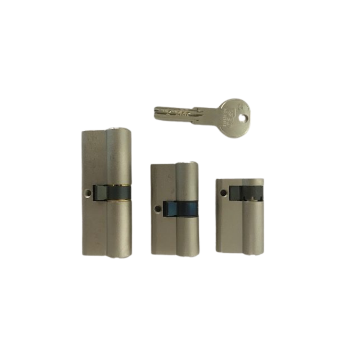 Keyed alike cylinder package Iseo R6 SKG** – Van Doorn Openingstechnieken